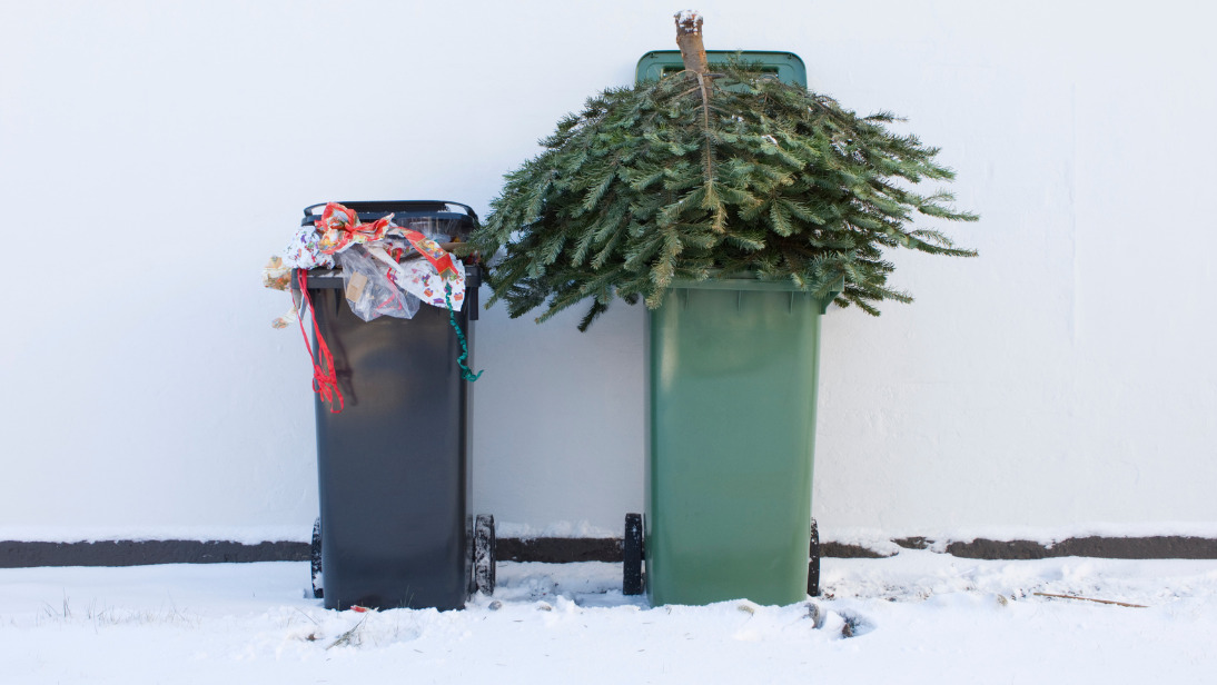 Your ultimate Christmas recycling guide - Livv